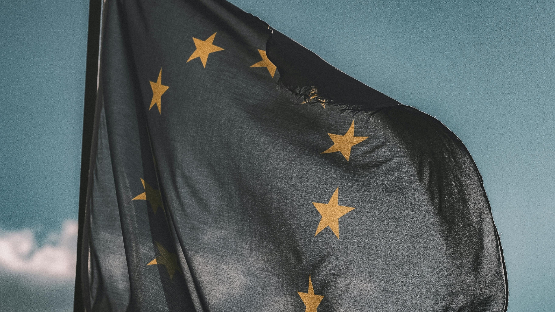 Sustainability Reporting in 2024: EU Taxonomy and CSRD